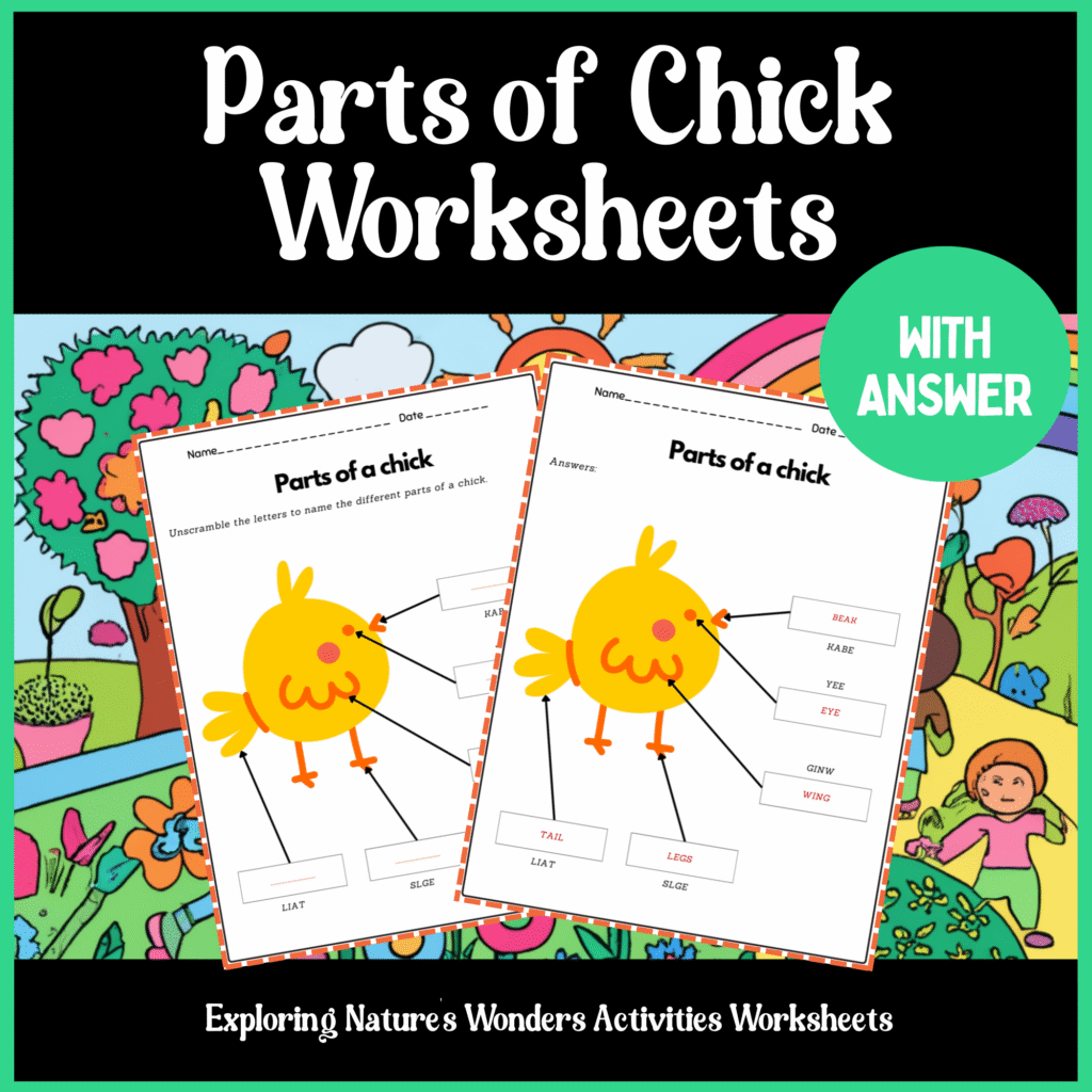 Chick Anatomy with Engaging Printable Worksheet - Educkids.net